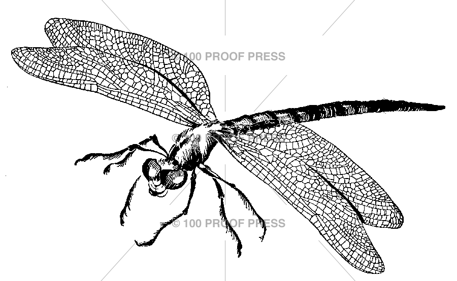 5823 Demonic Dragonfly – 100 Proof Press