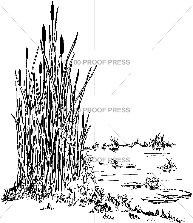 6354 Cattail Swamp – 100 Proof Press