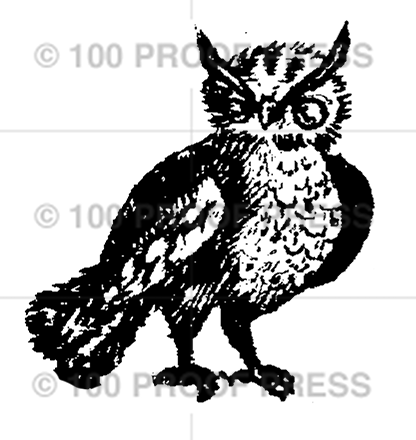 6556 Kind of Grouchy Owl – 100 Proof Press